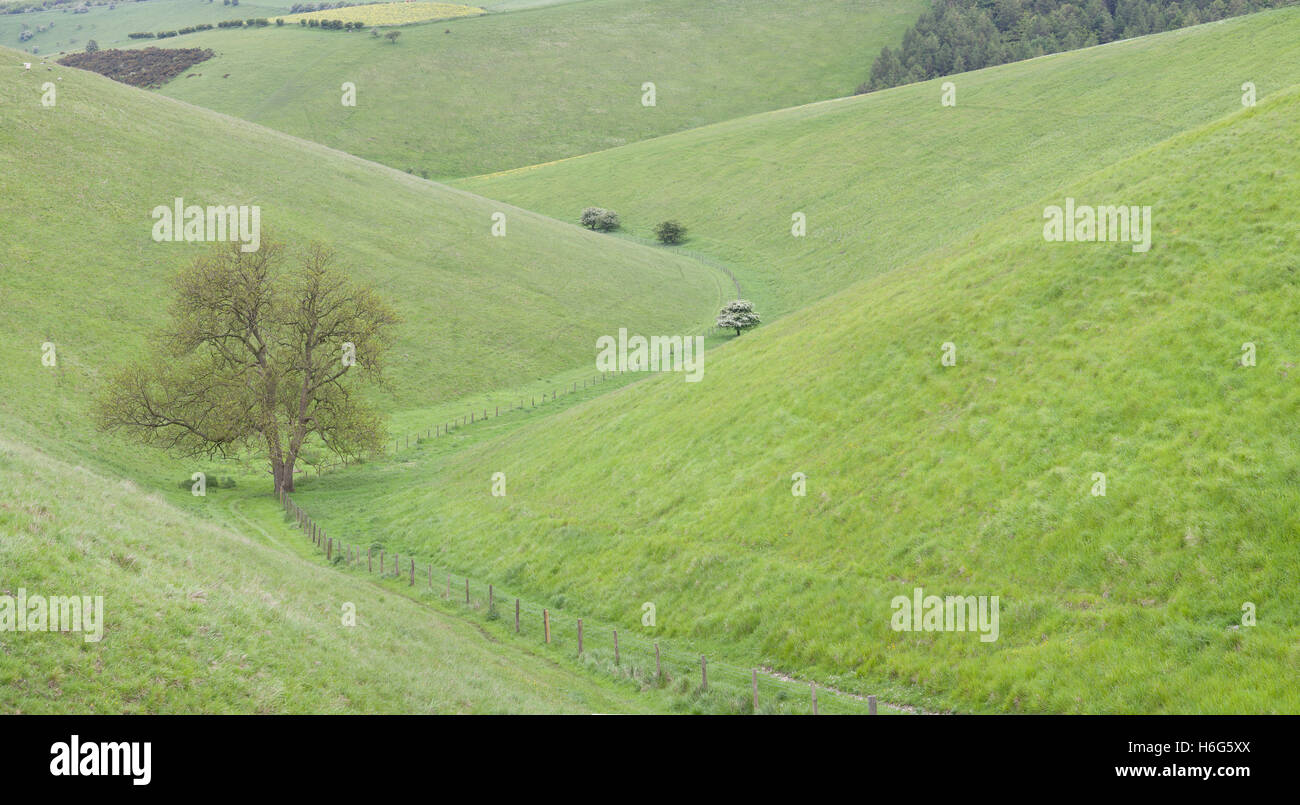 Winding track through the green valley of Frendal Dale, near Huggate ...
