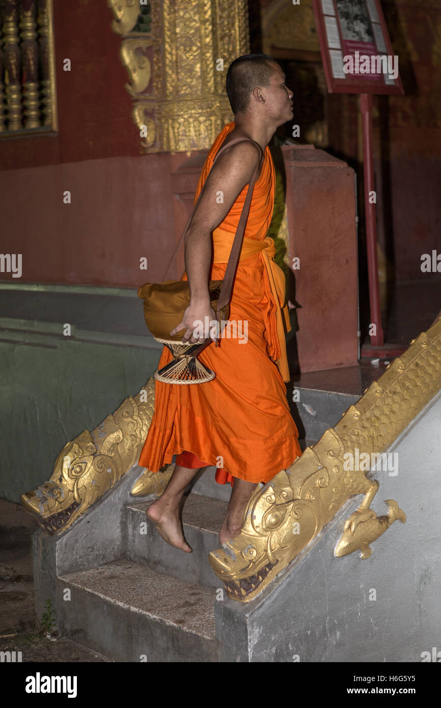 Tak Bat, Morning Alms Giving Ceremony, for the Buddhist monks, Luang ...
