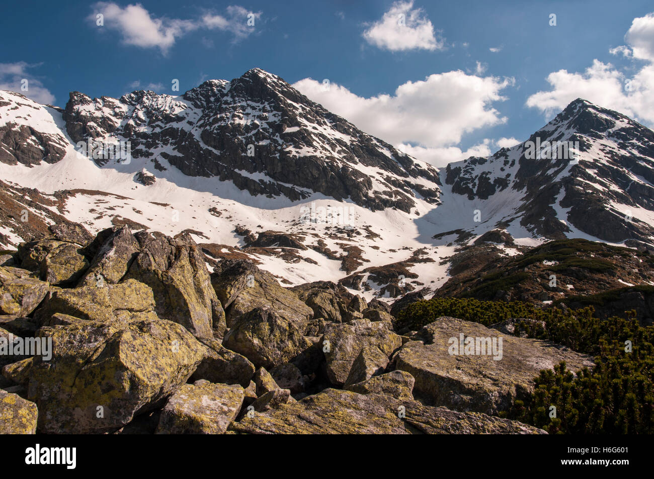 Panorama mountain spring landscape Stock Photo - Alamy