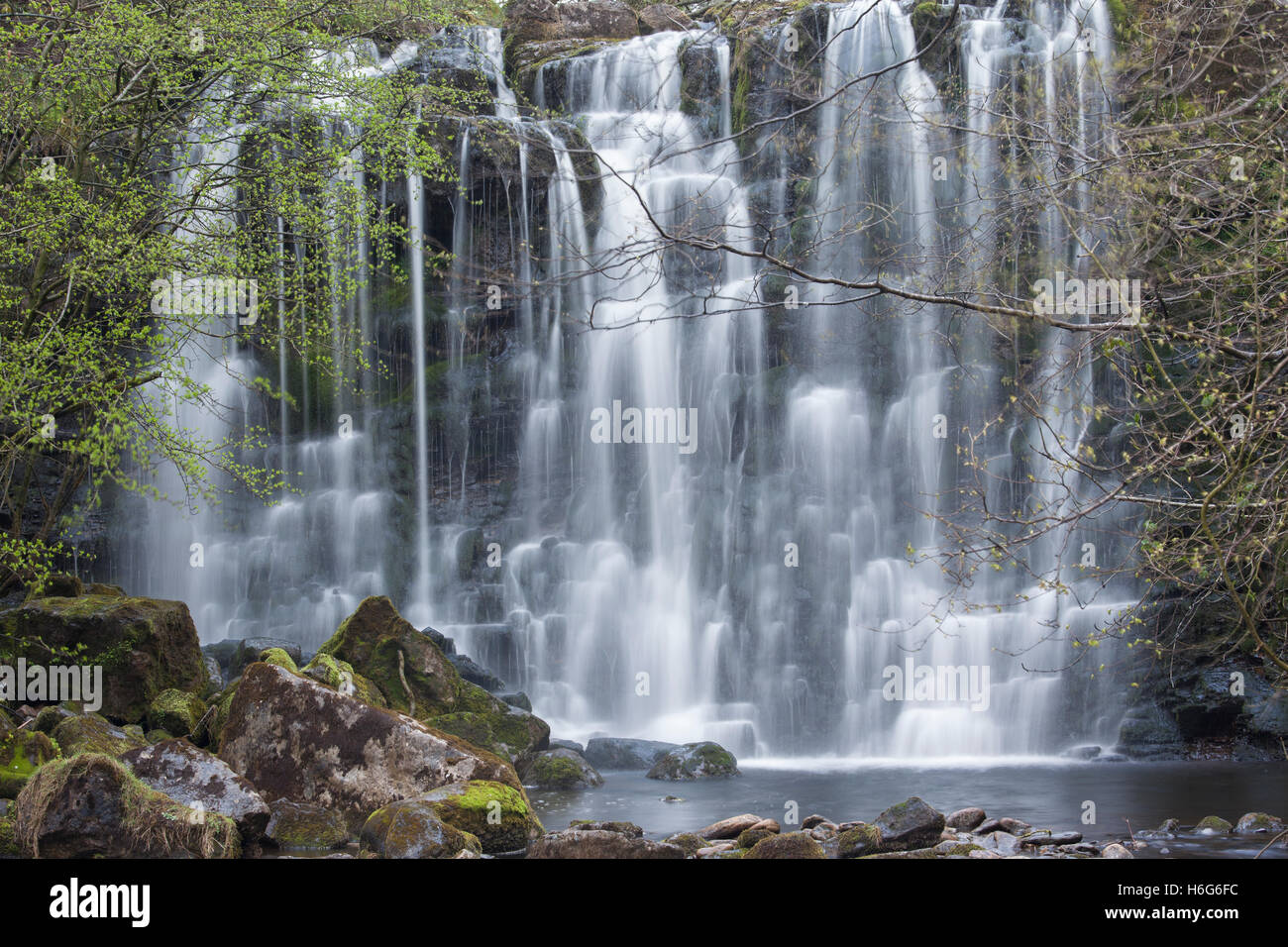 Scale Haw Force Waterfall at Hebden near Grassington, Wharfedale ...