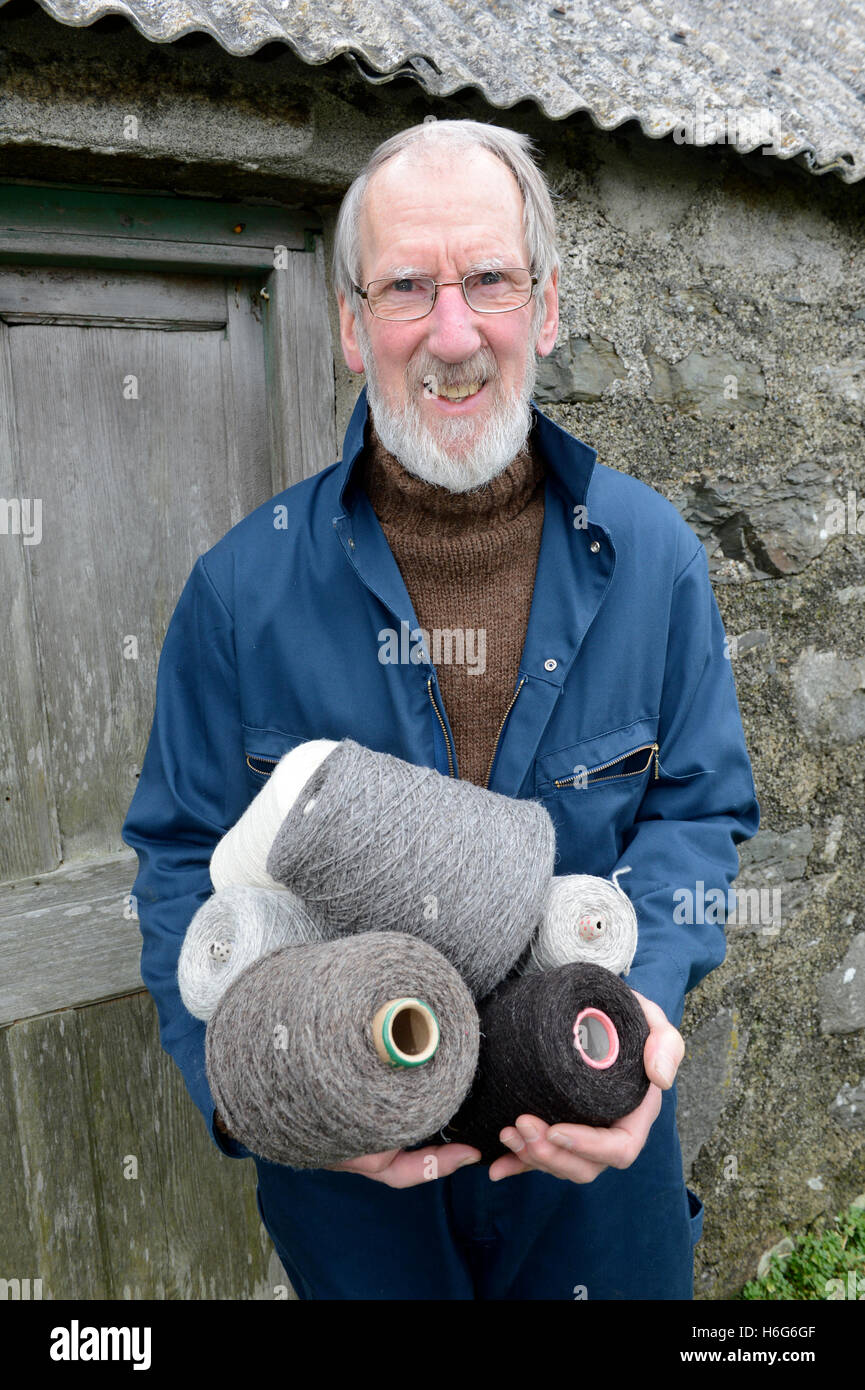 Peter Glanville with his flock of Shetland sheep that produce organic ...