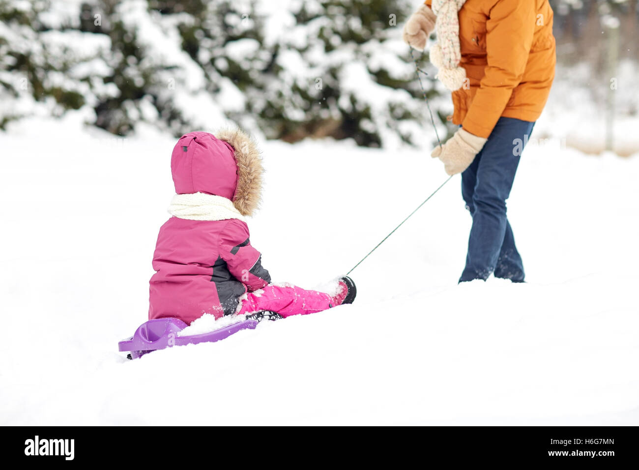 father pulling sled with child in winter Stock Photo - Alamy