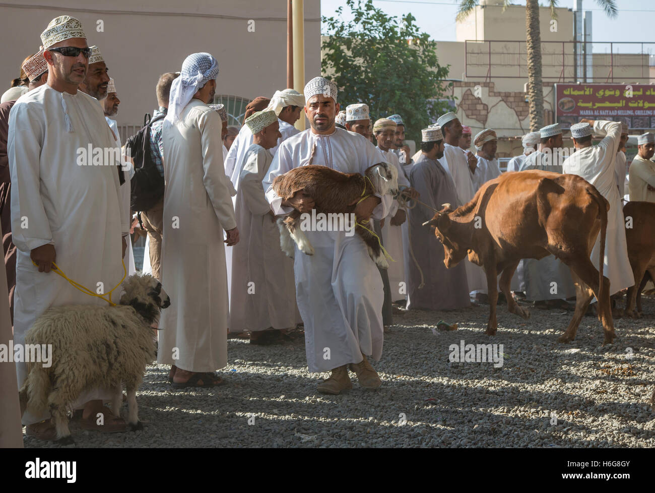 Traditional cattle auction hi-res stock photography and images - Alamy