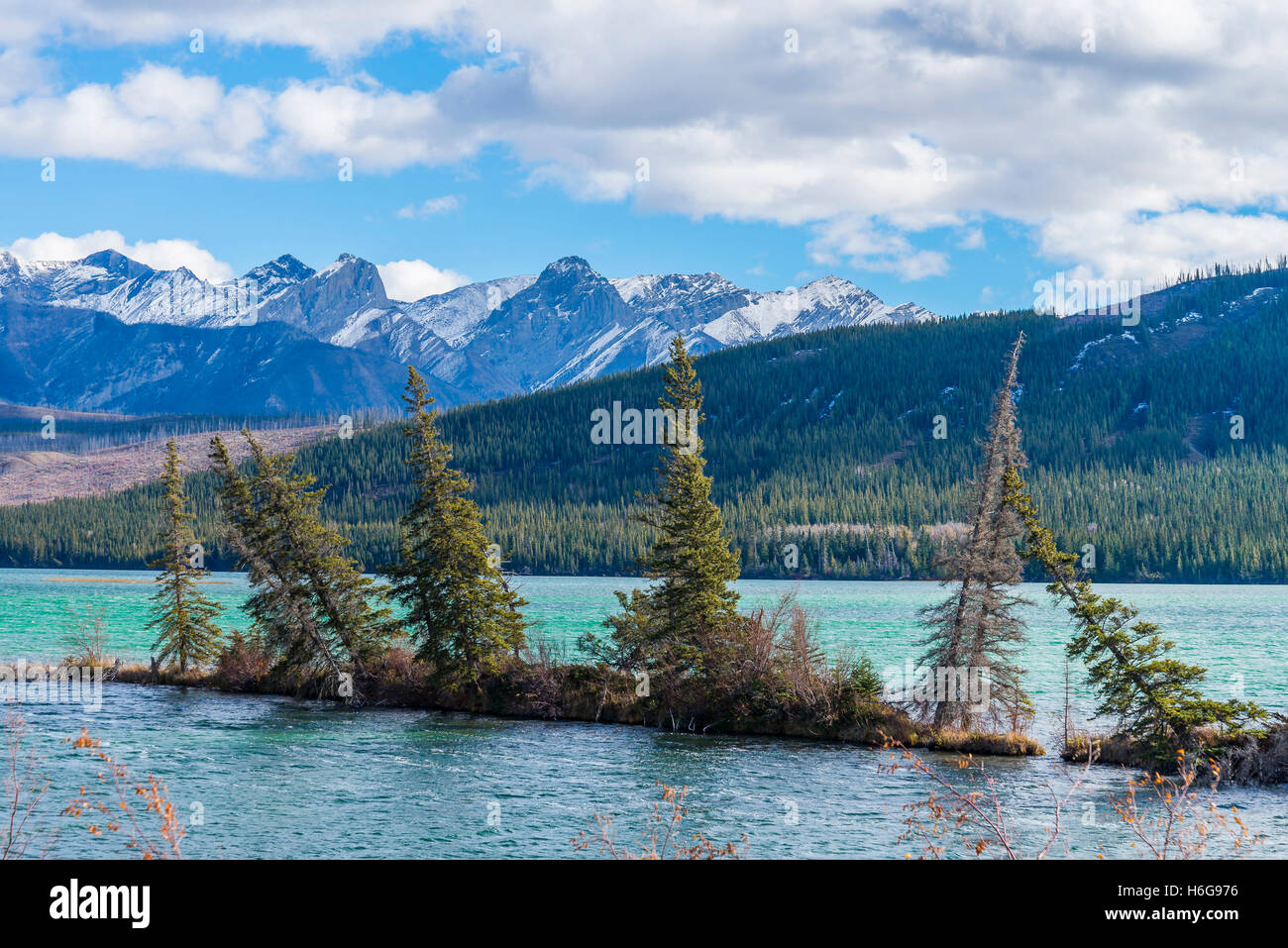 Talbot lake jasper national park hi-res stock photography and images ...
