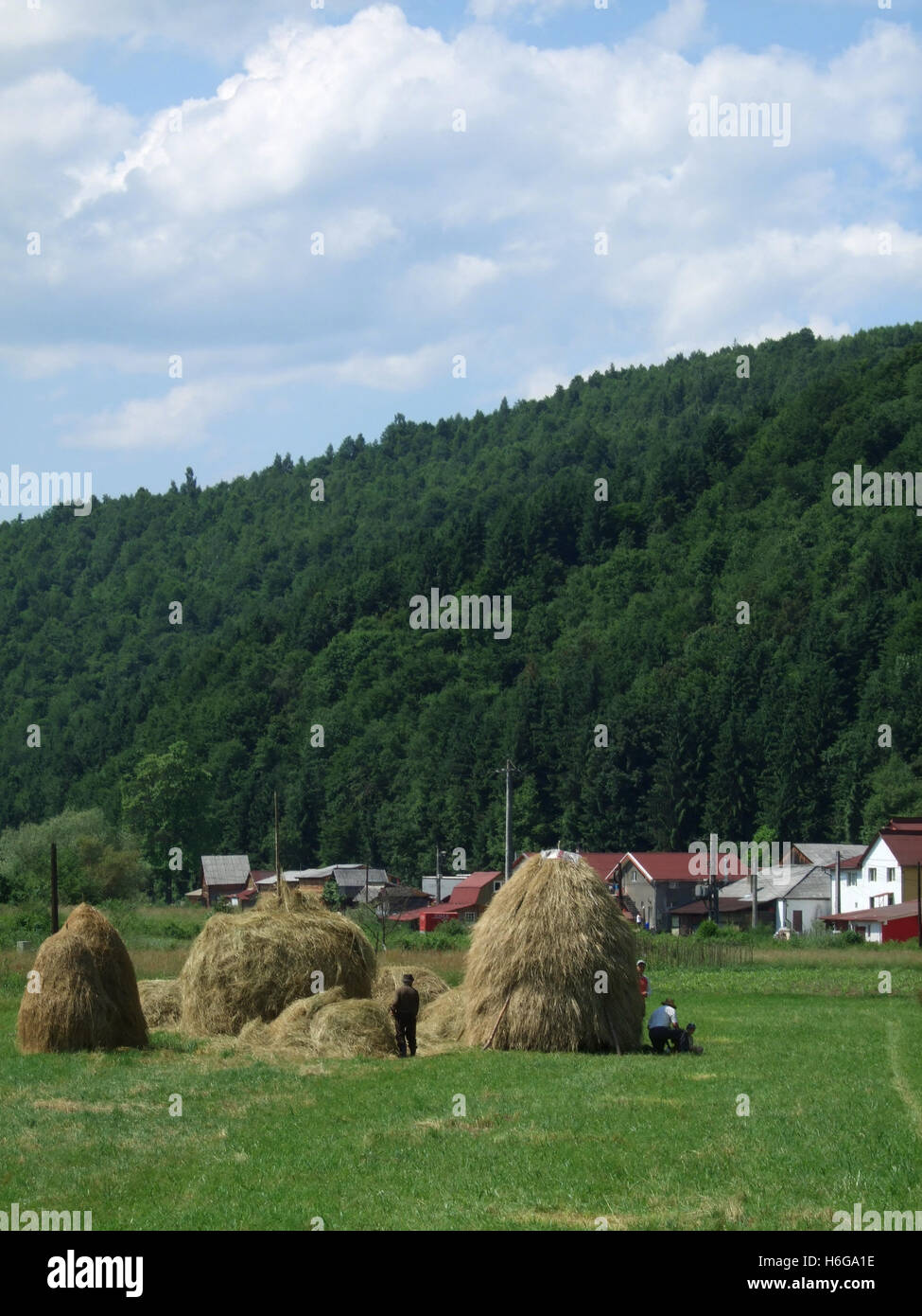 Romanian farmer hi-res stock photography and images - Alamy