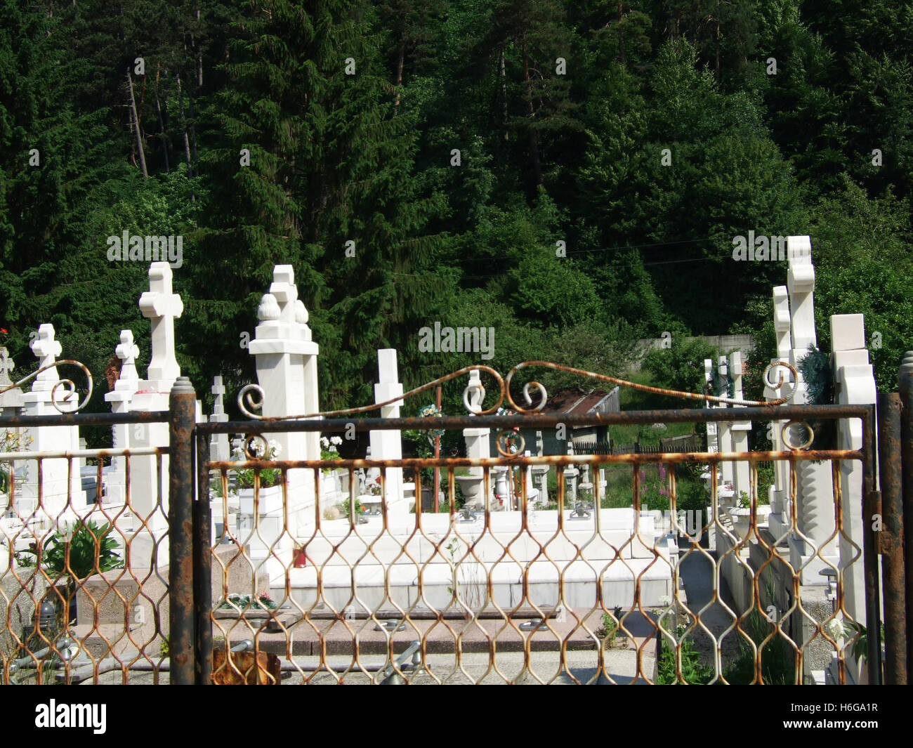 Forest gate cemetery hi-res stock photography and images - Alamy