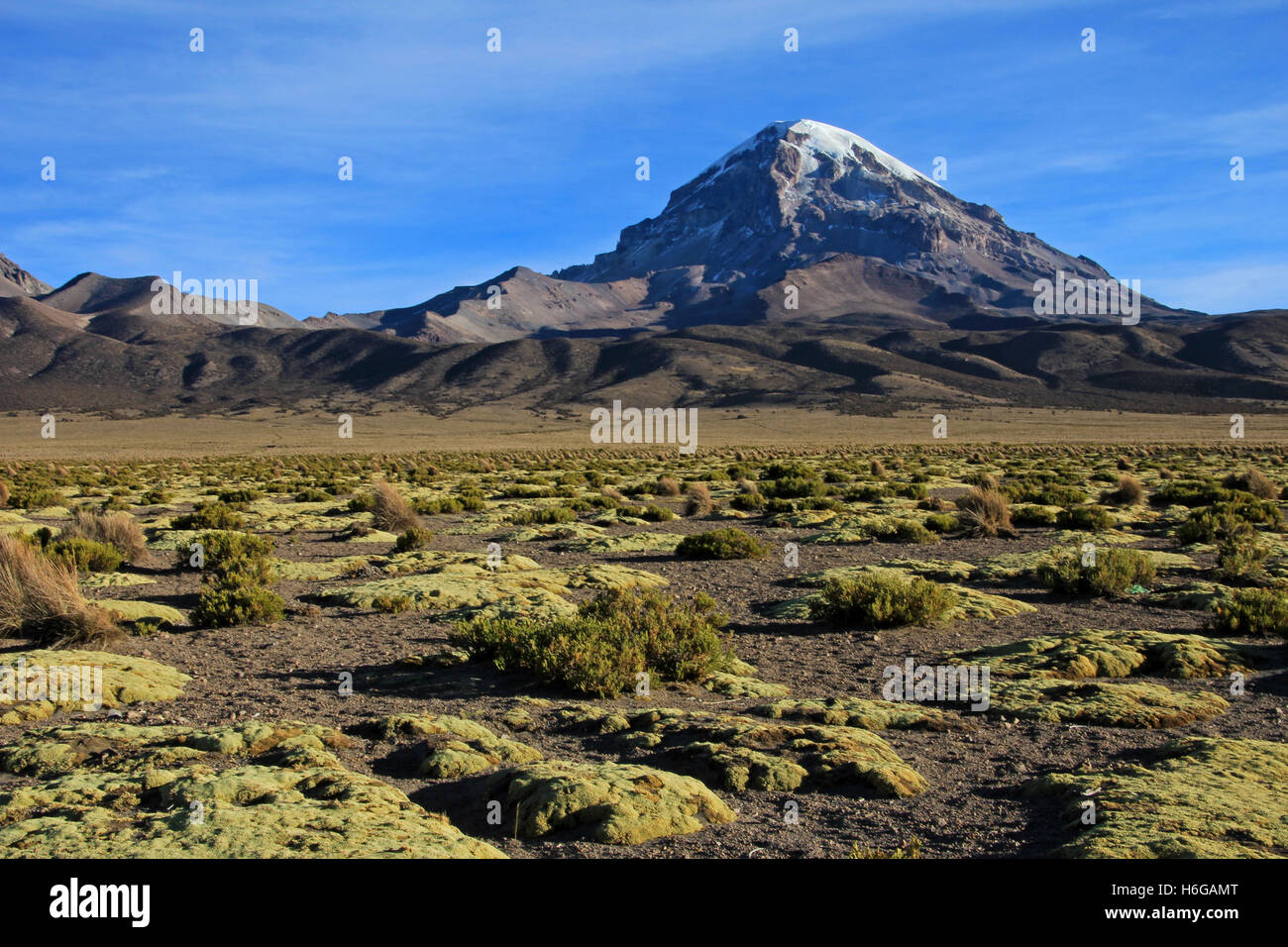 Sajama National Park, Bolivia Stock Photo - Alamy