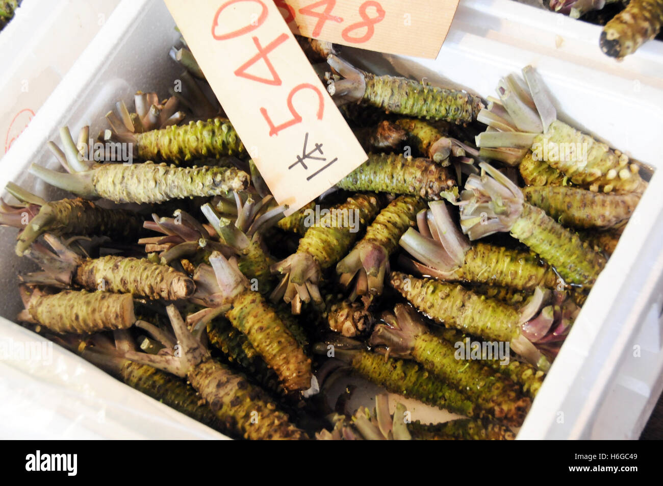 Wasabi,root - at Tokyo Tsukiji Fish market Stock Photo - Alamy