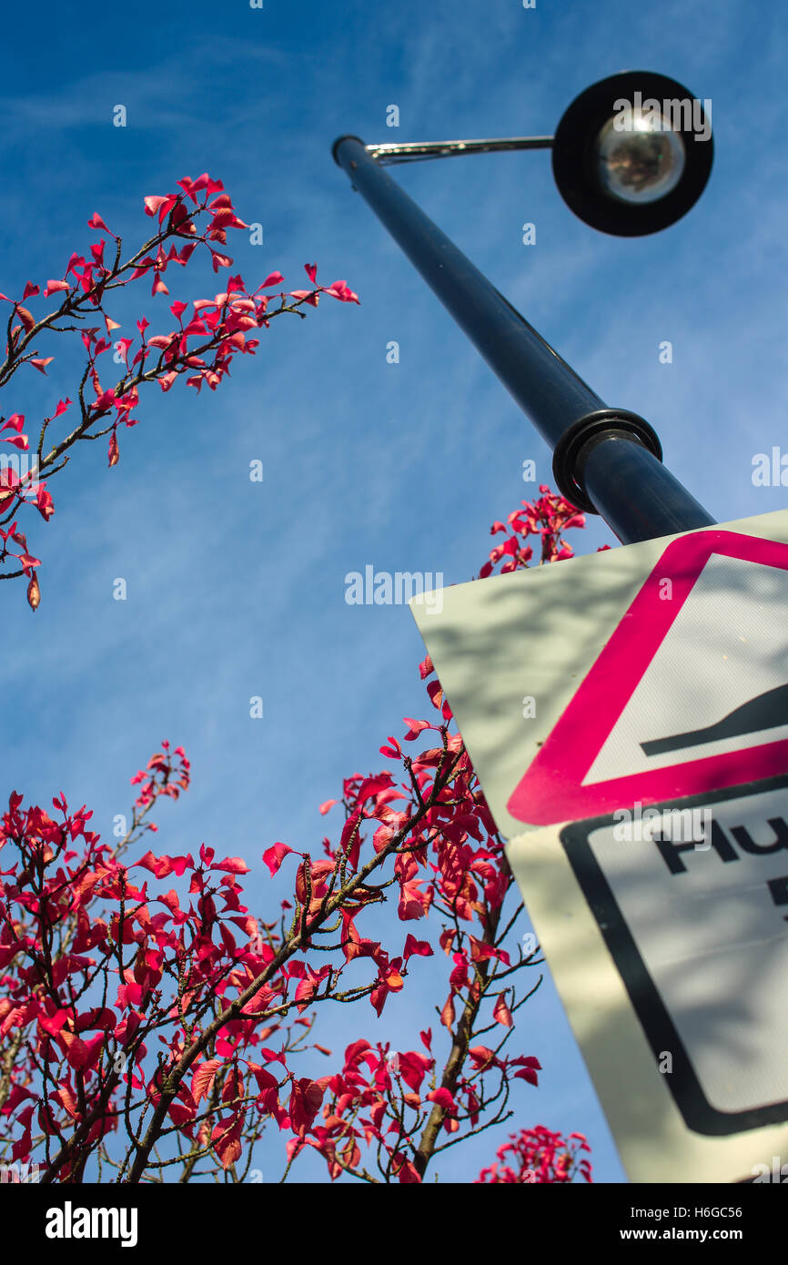 A street lamp and street sign on a suburban street in Autumn. From a ...