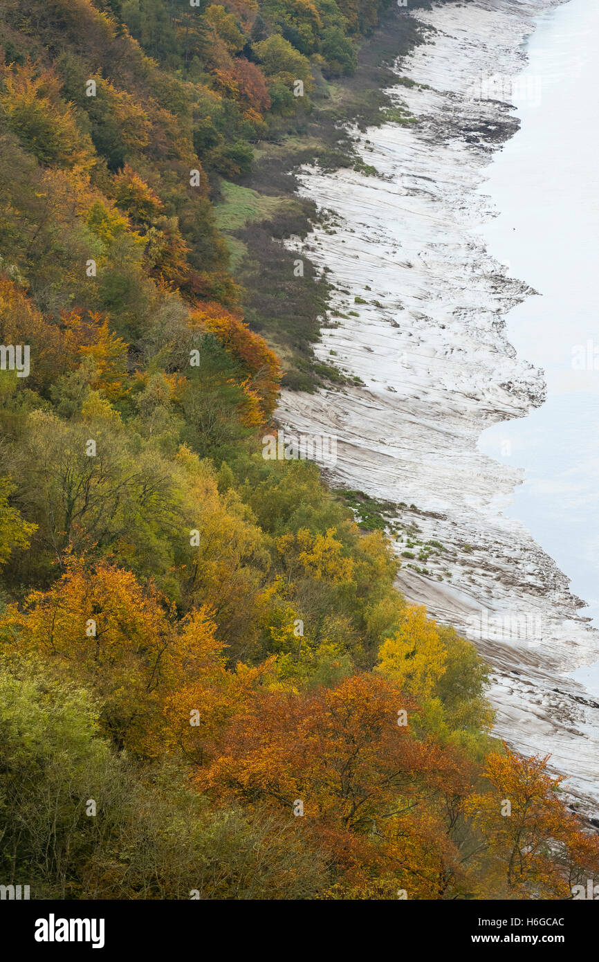 The River Wye from Wintours Leap. UK seasons Autumn in the Forest of ...