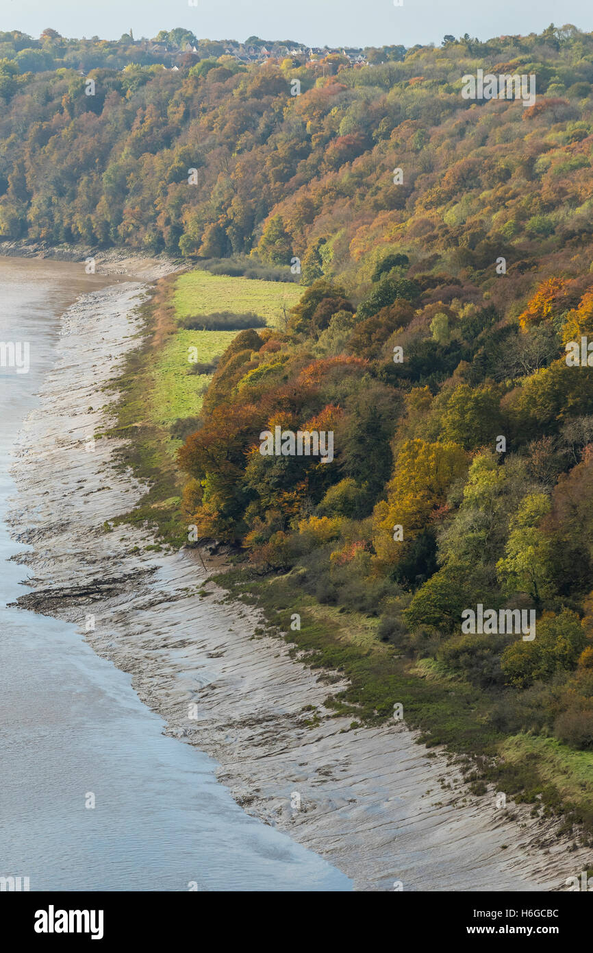 The River Wye from Wintours Leap. UK seasons Autumn in the Forest of ...