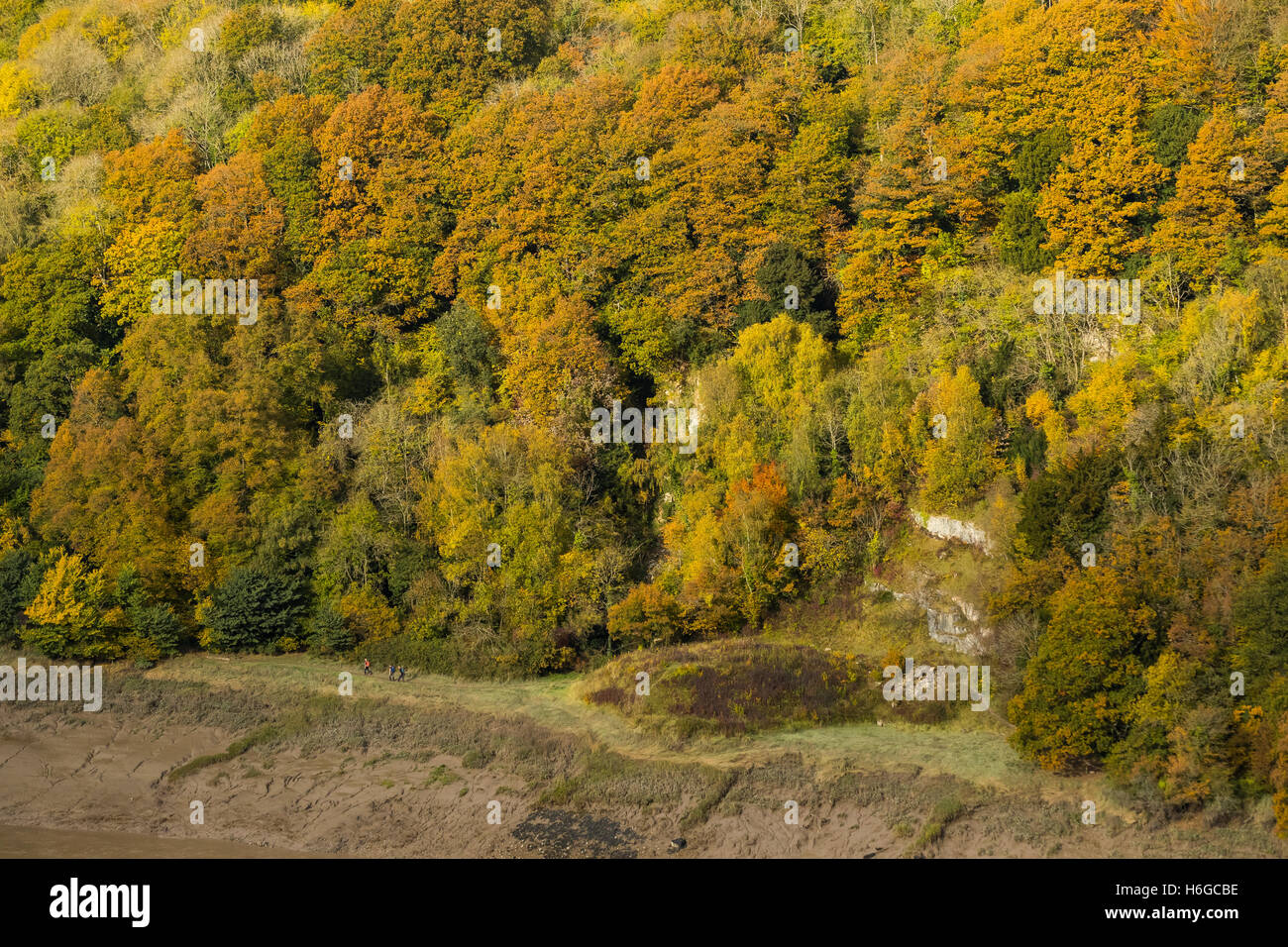 The River Wye from Wintours Leap. UK seasons Autumn in the Forest of ...