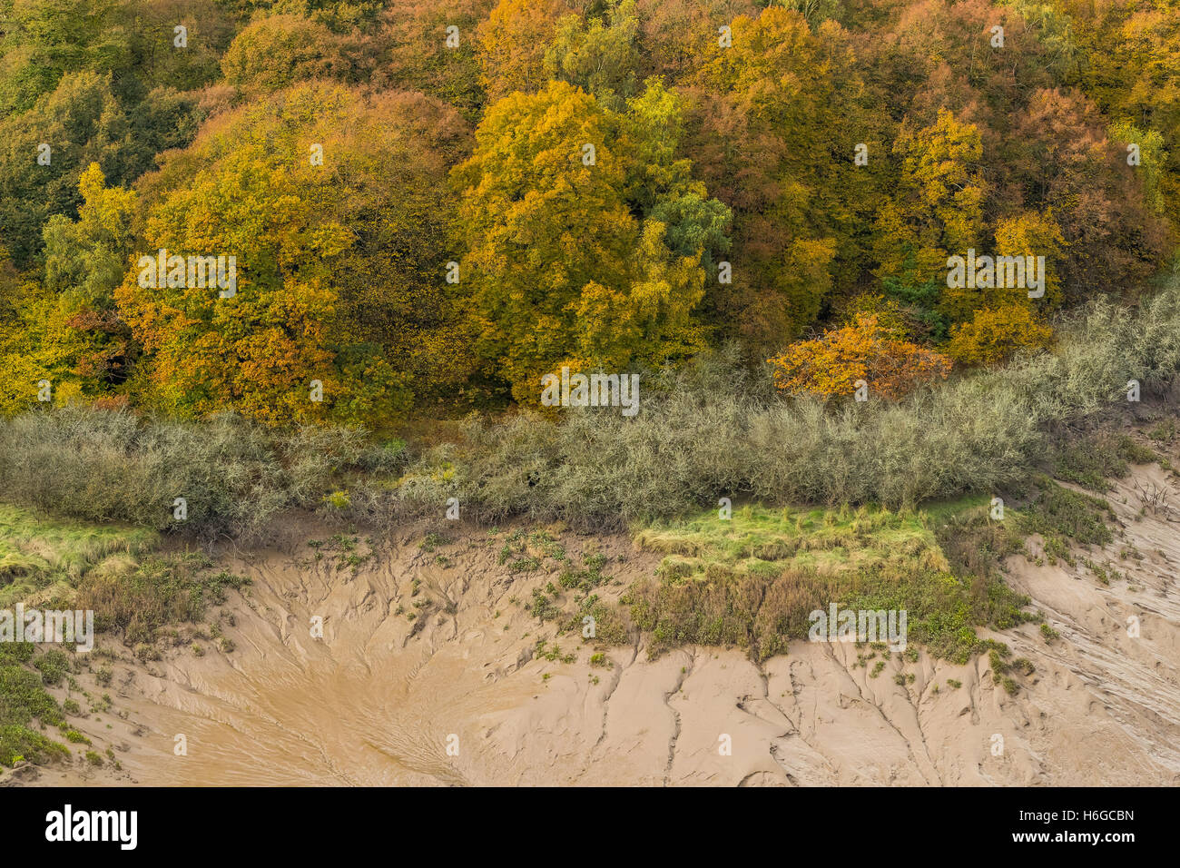 The River Wye from Wintours Leap. UK seasons Autumn in the Forest of ...