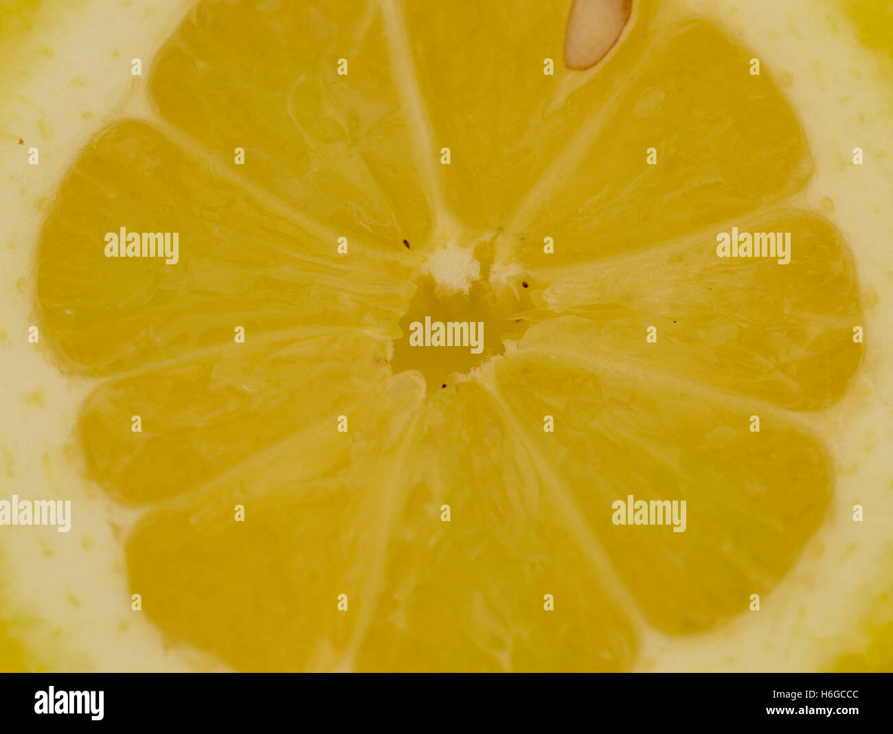 Macro shot of a slice of lemon Stock Photo - Alamy