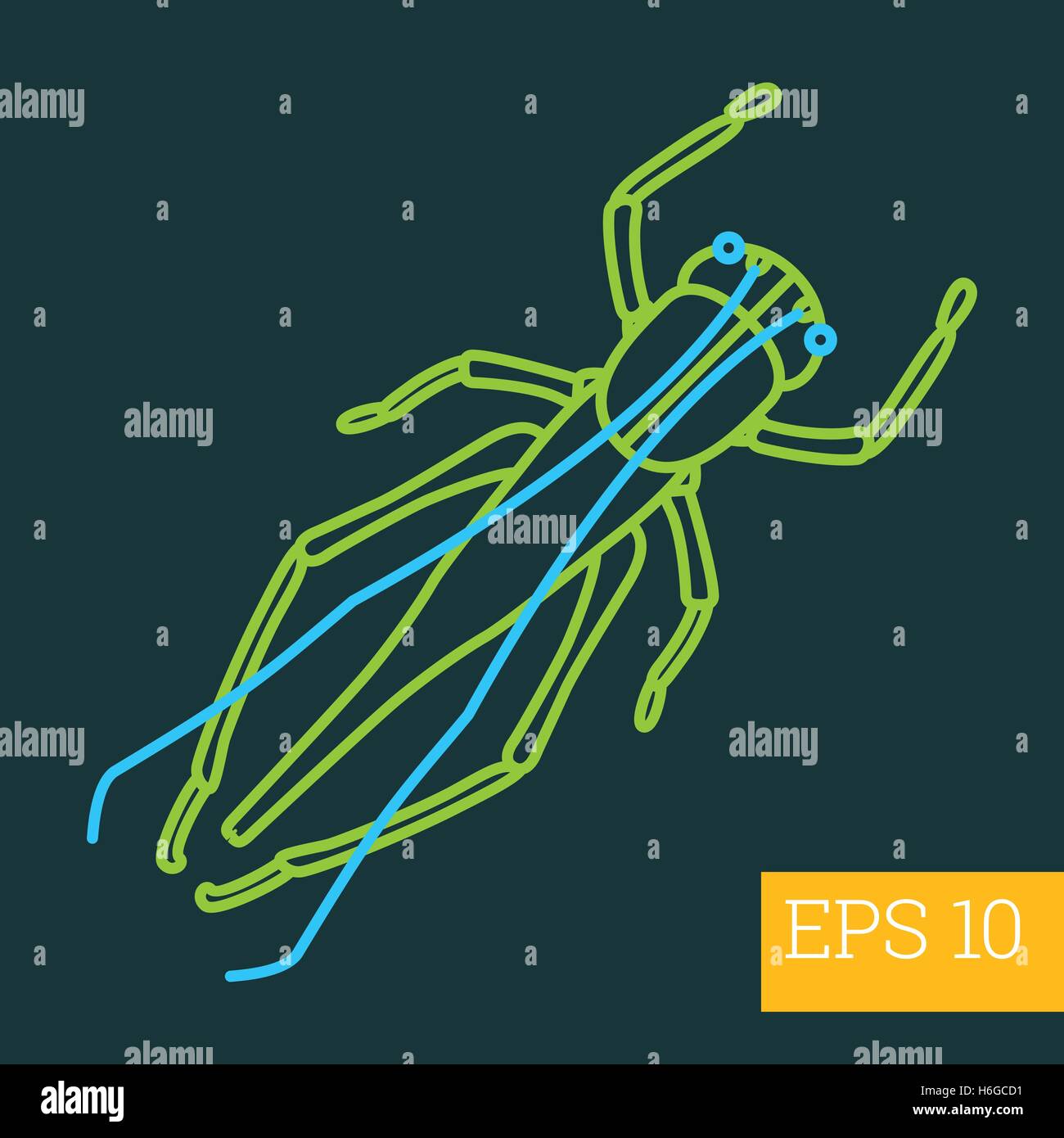 Grasshopper drawing hi-res stock photography and images - Alamy