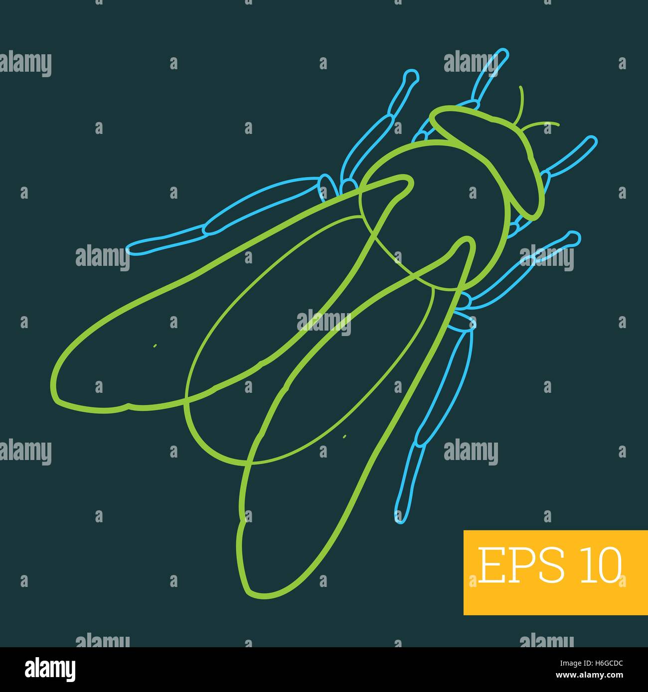 gadfly insect outline vector Stock Vector Image & Art - Alamy