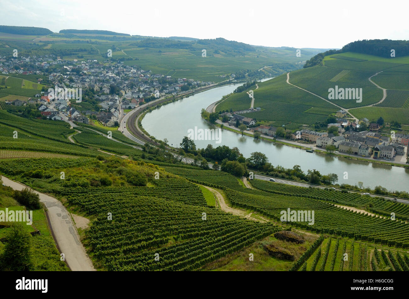 Vineyard landscape in the river Mosel valley, Germany Stock Photo - Alamy