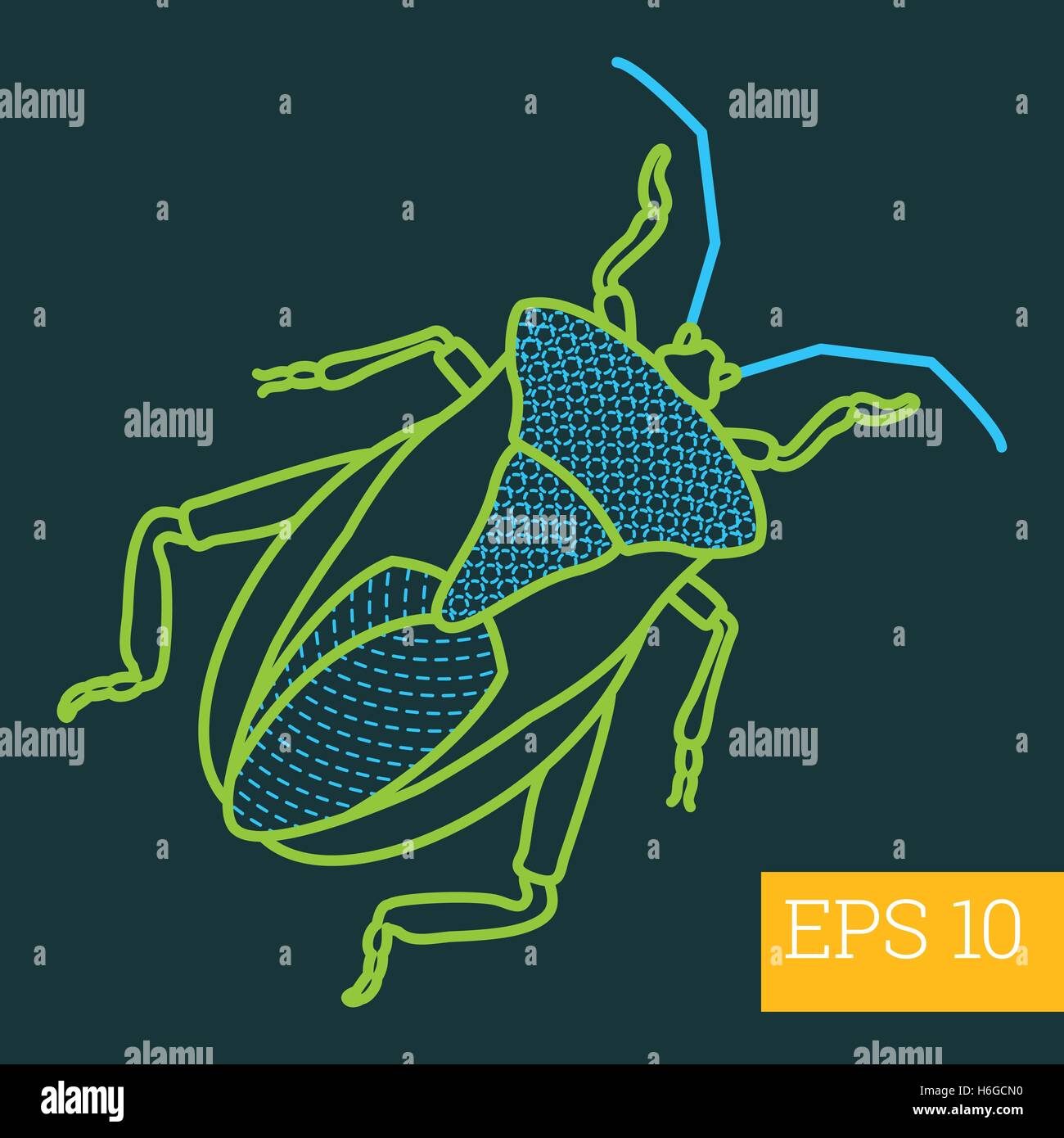 imago insect outline vector Stock Vector Image & Art - Alamy