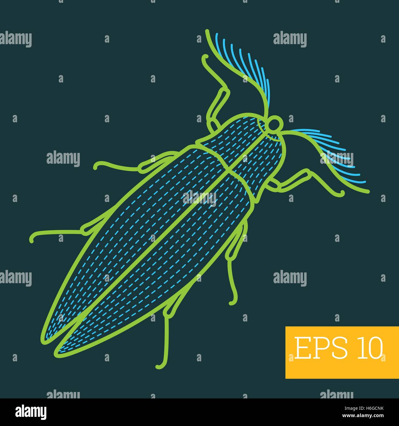 Bug Insect Outline Vector Stock Vector Image And Art Alamy
