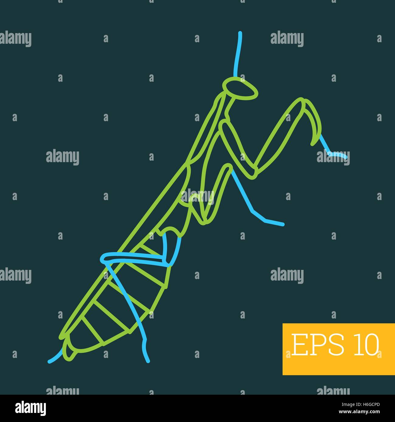 mantis insect outline vector Stock Vector Image & Art - Alamy