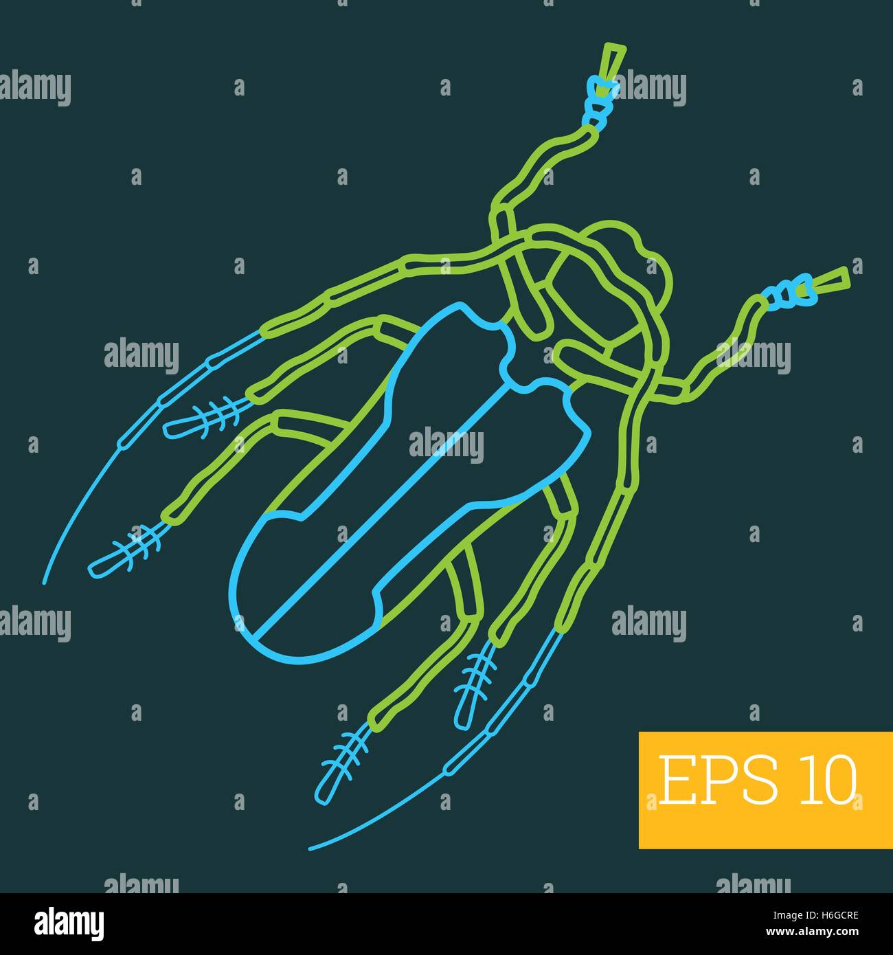 hexapoda insect outline vector Stock Vector Image & Art - Alamy