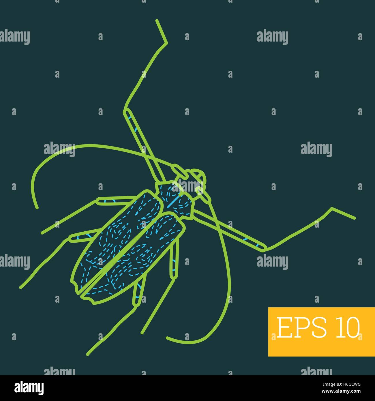 Tribolium hi-res stock photography and images - Alamy
