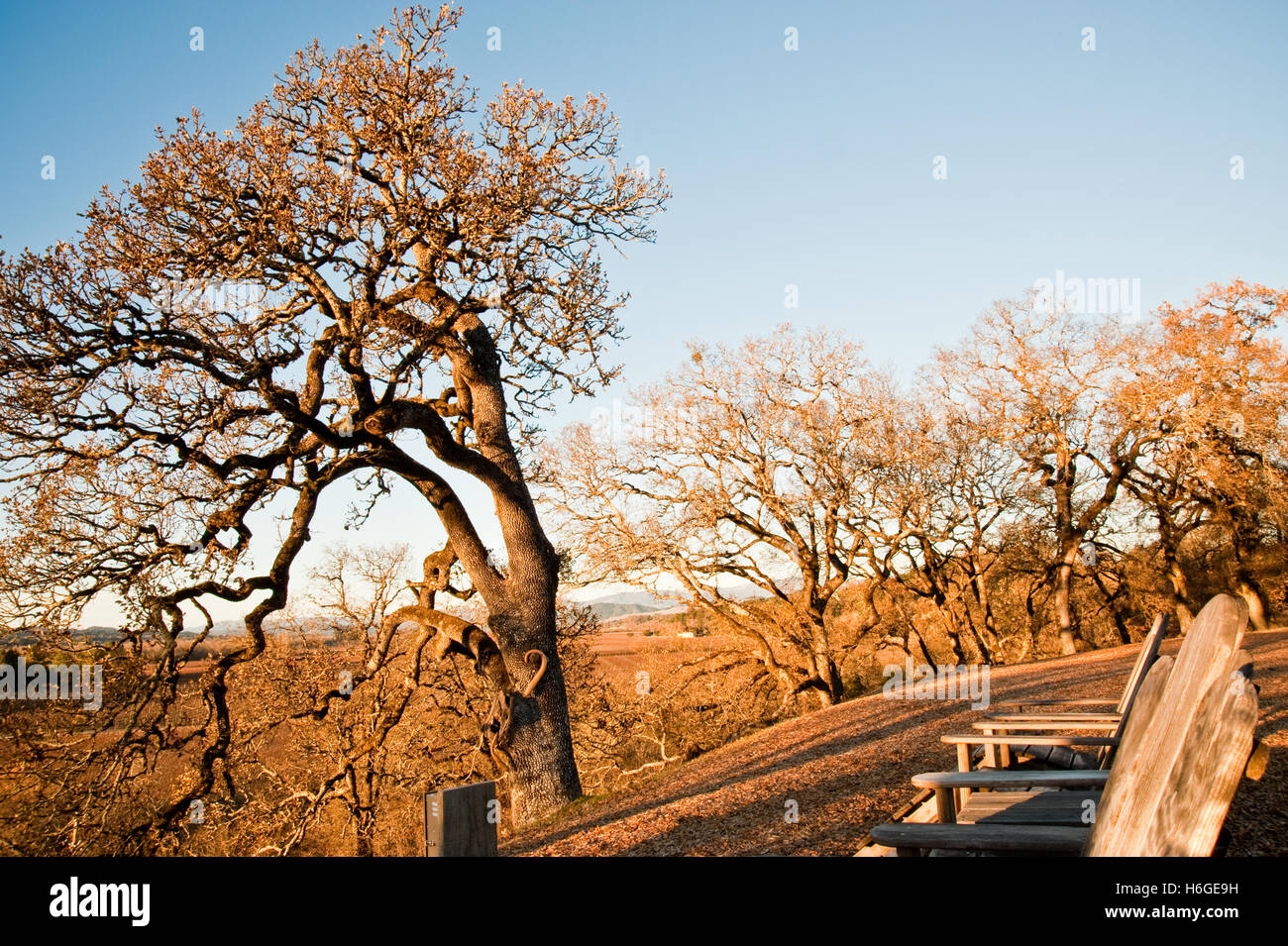 Landmark winery sonoma hi-res stock photography and images - Alamy