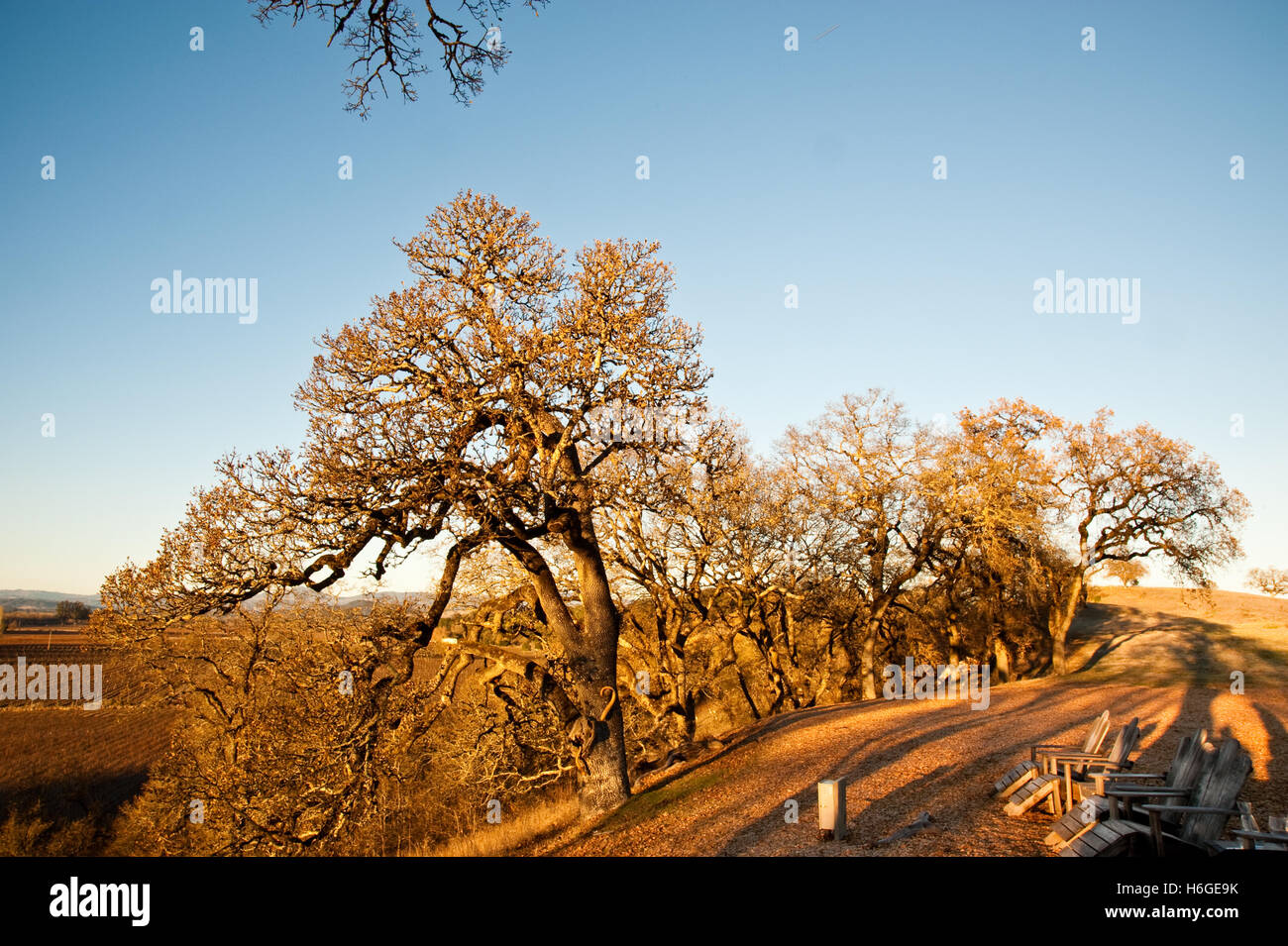 Landmark winery sonoma hi-res stock photography and images - Alamy