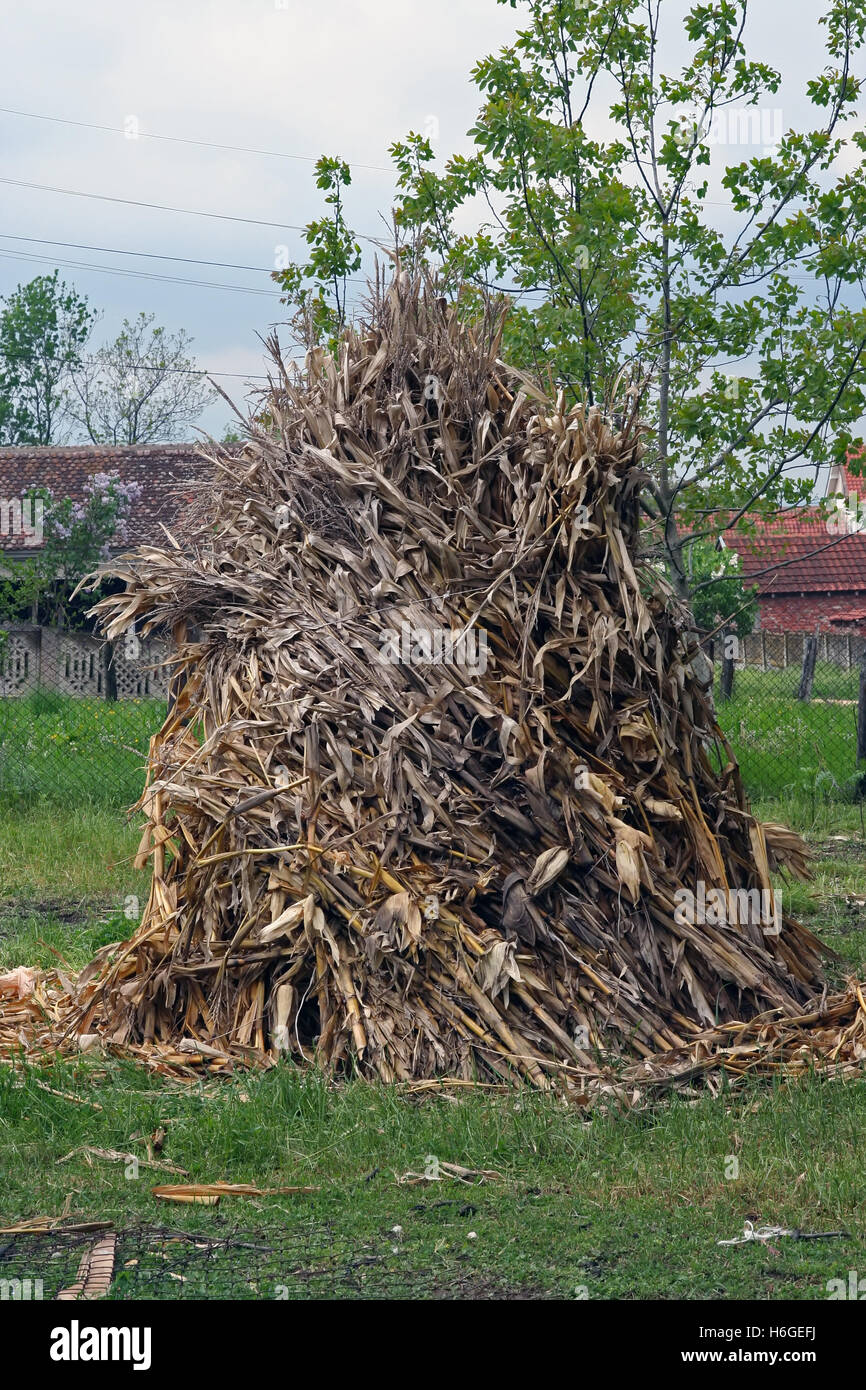 Hay stack on a meadow Stock Photo - Alamy