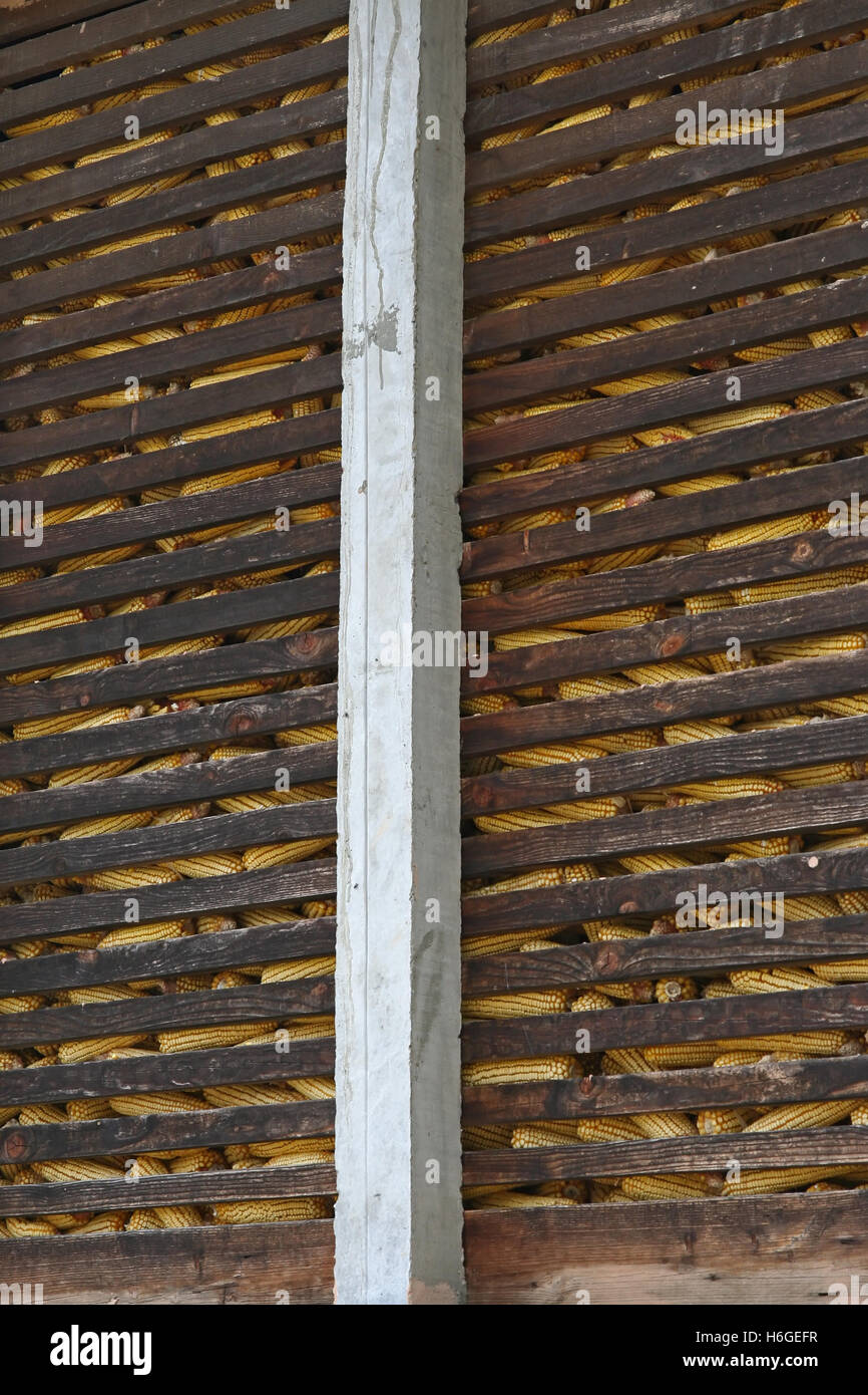 Corn stack, Corn silo. Old corn Stock Photo - Alamy