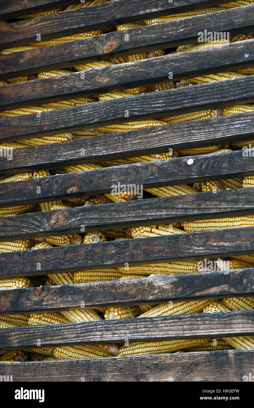 Corn stack, Corn silo. Old corn Stock Photo - Alamy