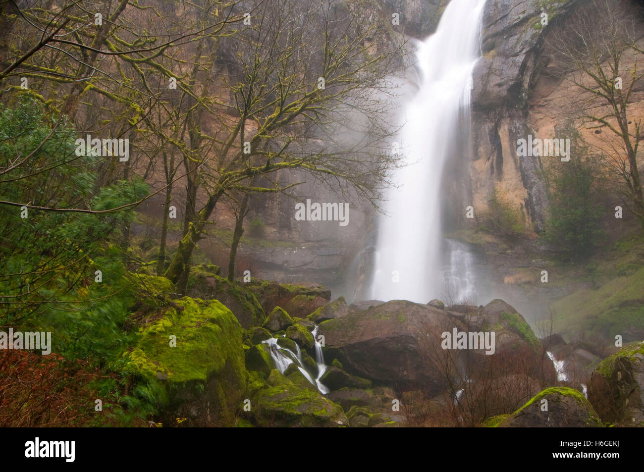 Golden Falls, Golden & Silver Falls State Park, Oregon Stock Photo - Alamy