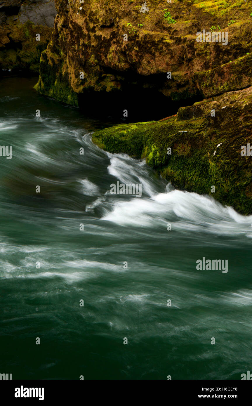 North Santiam River, Niagara County Park, Marion County, Oregon Stock ...