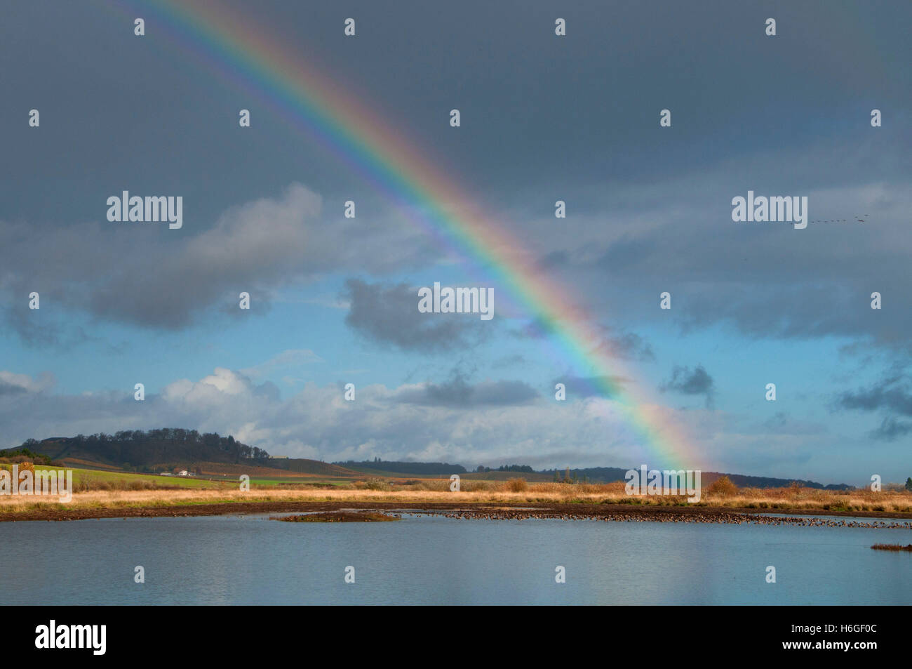 Rainbow at Taverner's Marsh, Baskett Slough National Wildlife Refuge ...