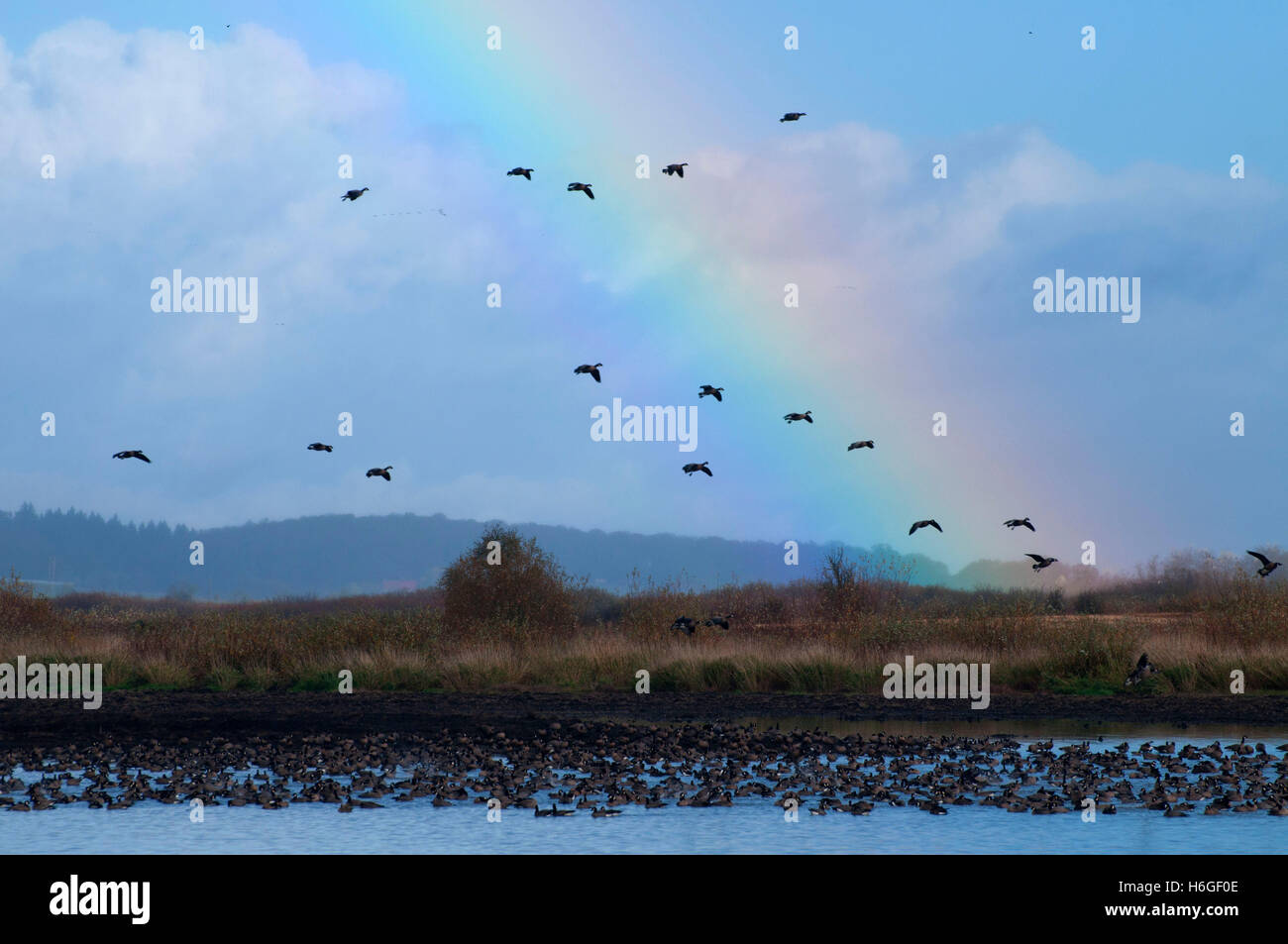 Rainbow at Taverner's Marsh, Baskett Slough National Wildlife Refuge ...