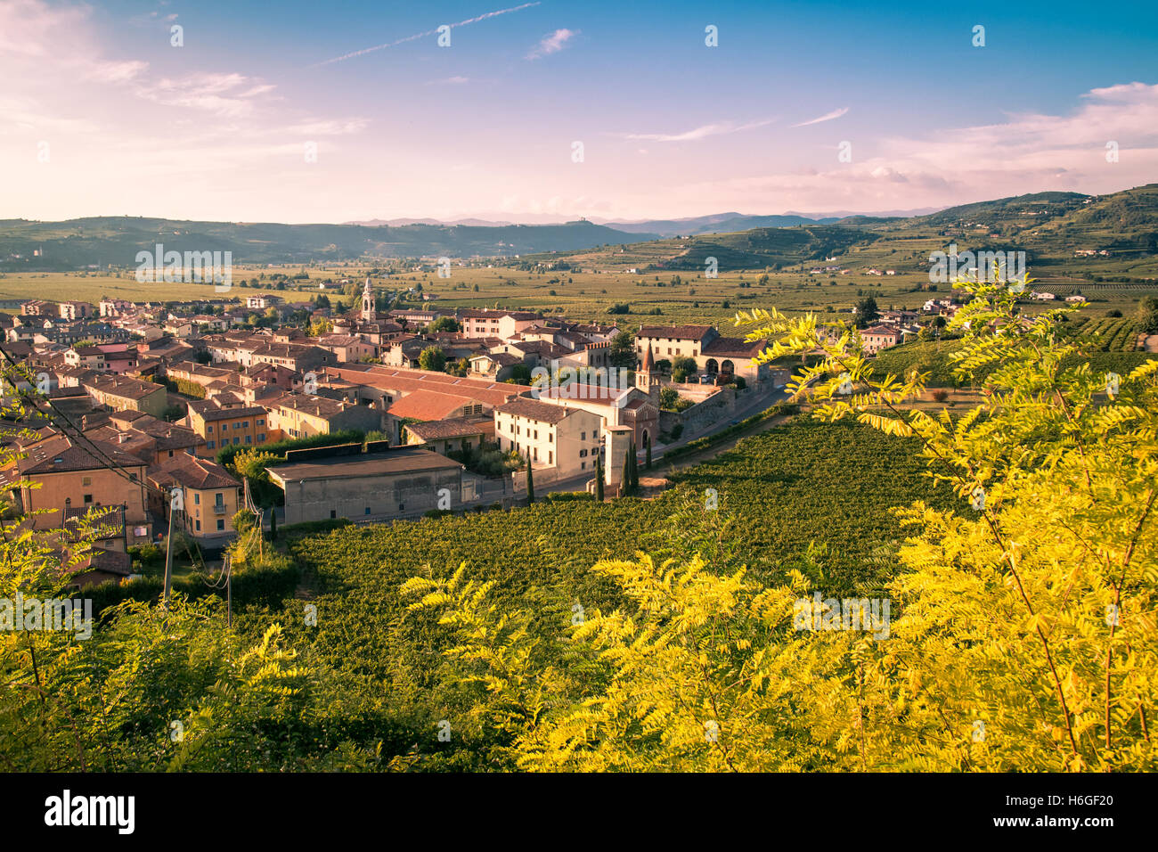 View of Soave (Italy) surrounded by vineyards that produce one of the ...