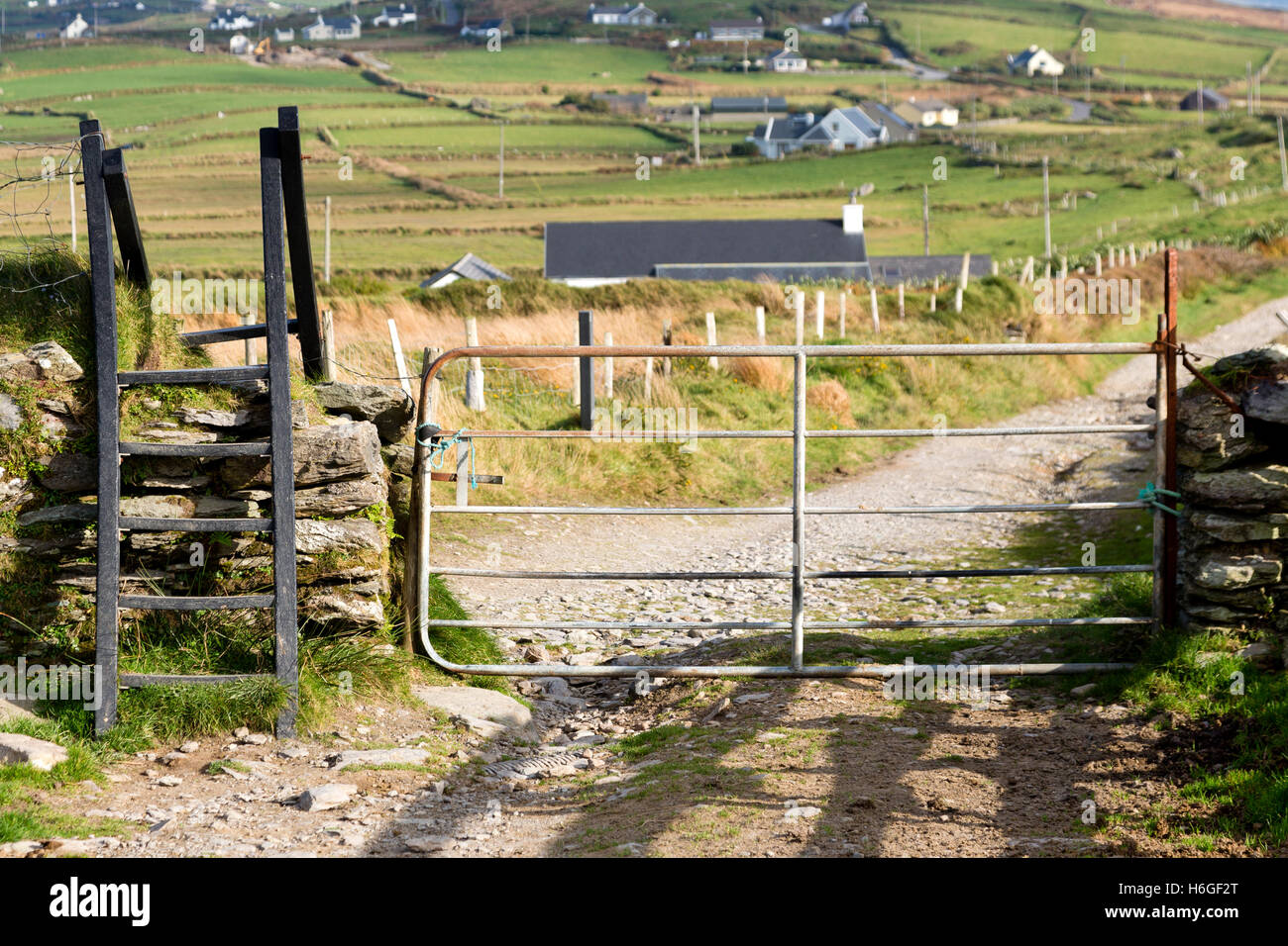 Black wooden ladder stile. Bray Head trail, Valentia Island, County ...