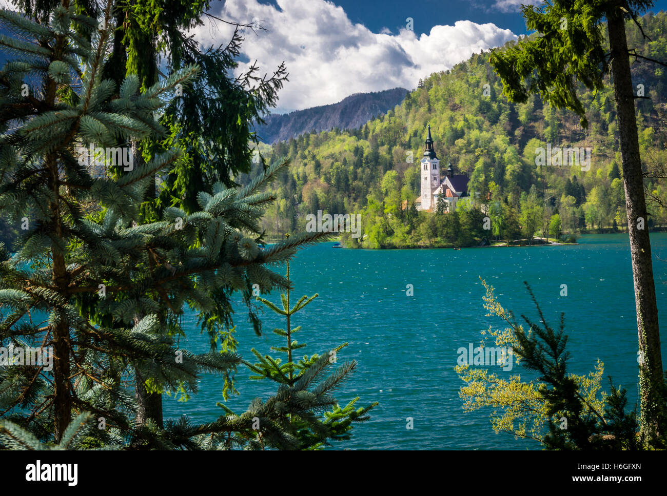View from forest at lake Bled in Slovenia Stock Photo - Alamy