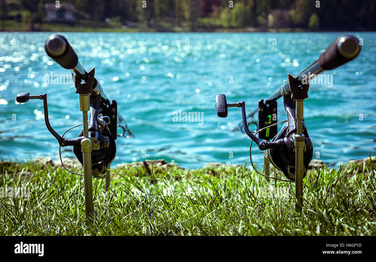 Grass rods hi-res stock photography and images - Alamy