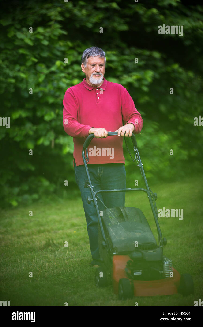 Senior man mowing the lawn in his garden Stock Photo - Alamy