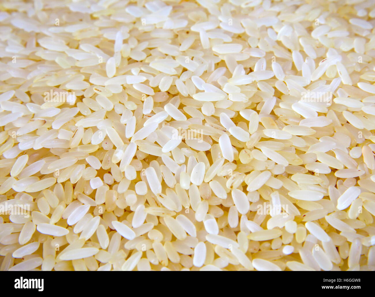rice macro closeup Stock Photo - Alamy
