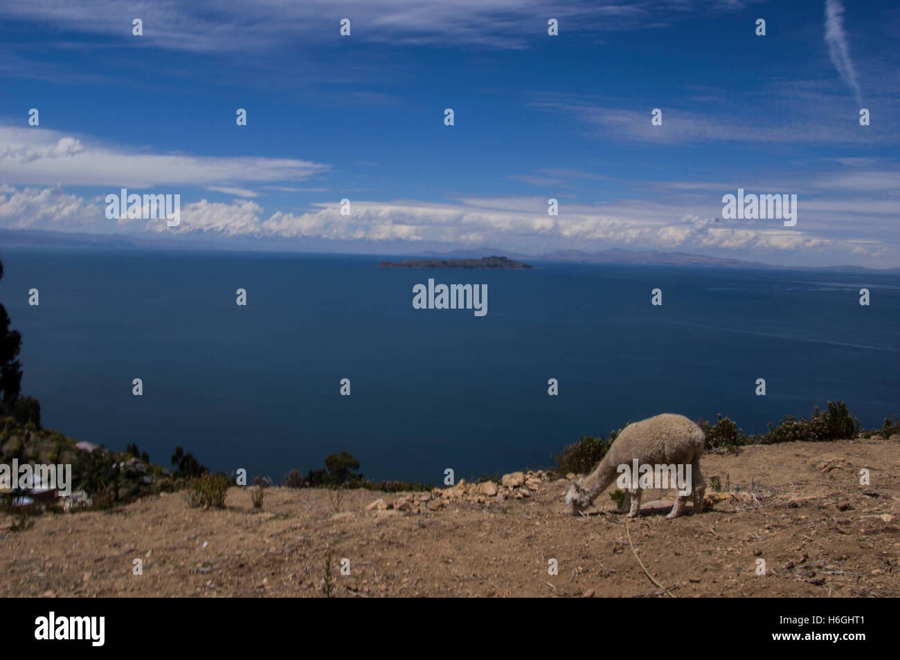 Titicaca basin hi-res stock photography and images - Alamy