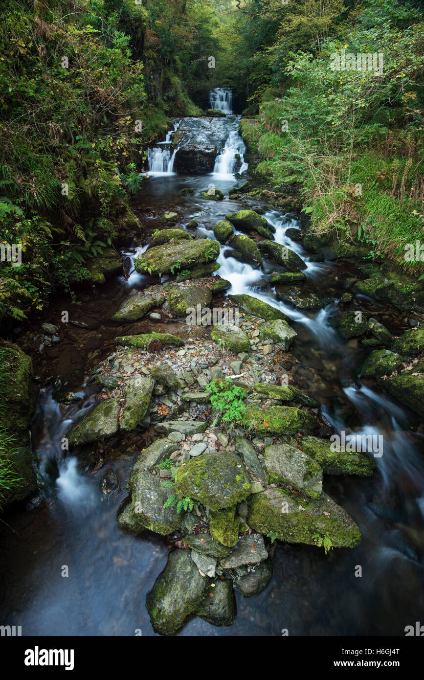 Devon waterfall hi-res stock photography and images - Alamy