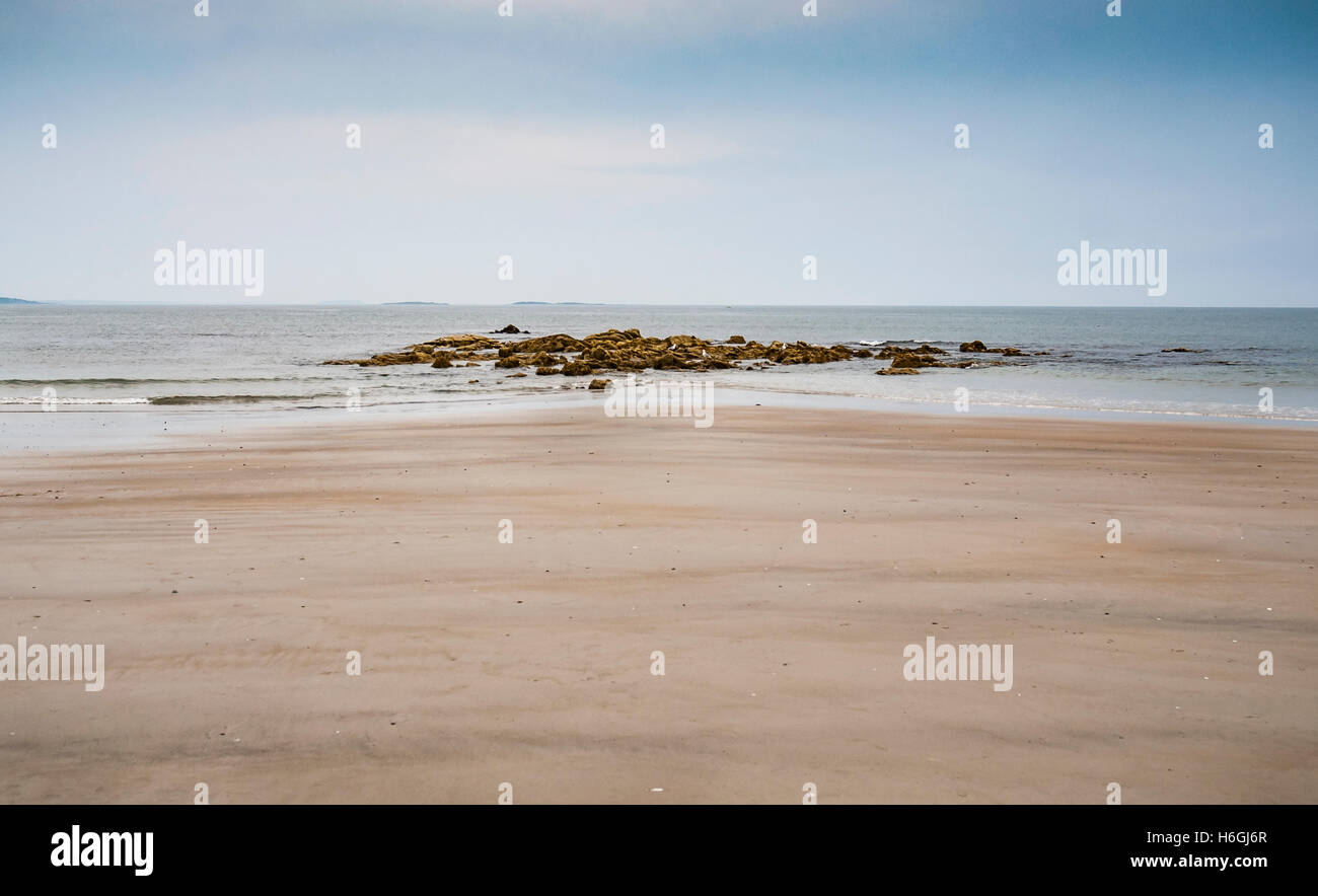 beach and ocean Stock Photo - Alamy