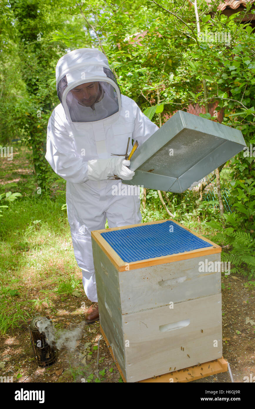beekeeper opening hive Stock Photo - Alamy