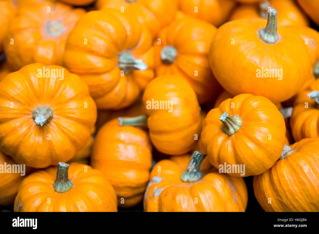 Miniature farmers hi-res stock photography and images - Alamy