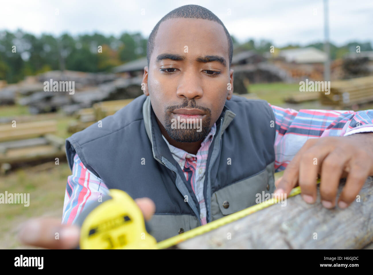 Man measuring tree trunk Stock Photo - Alamy