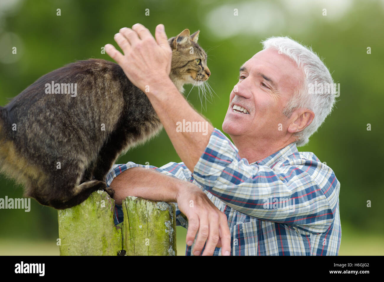 Man caressing cat Stock Photo - Alamy