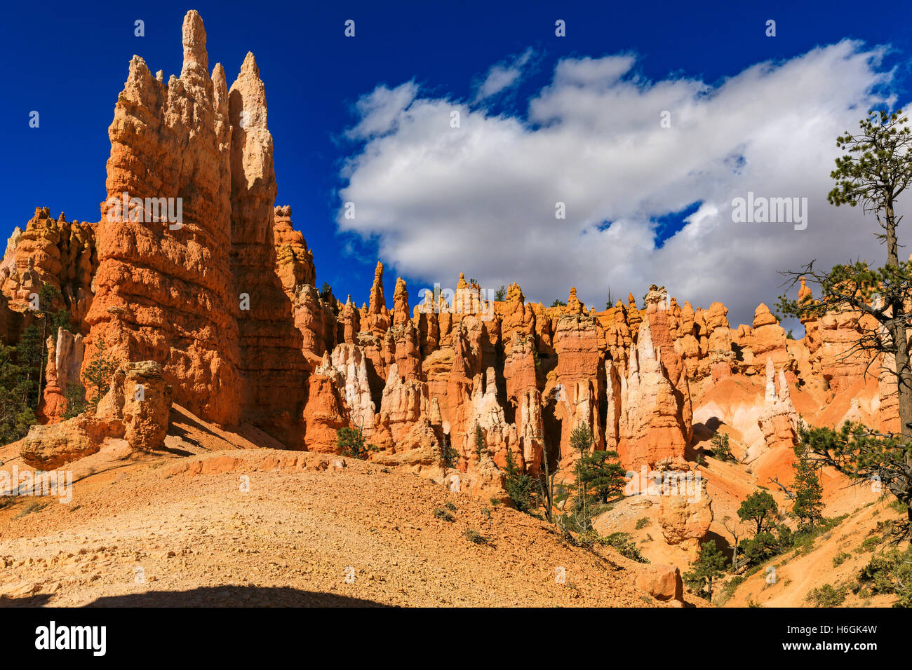 The majestic red rock spires along the Queens Garden Trail of Bryce ...