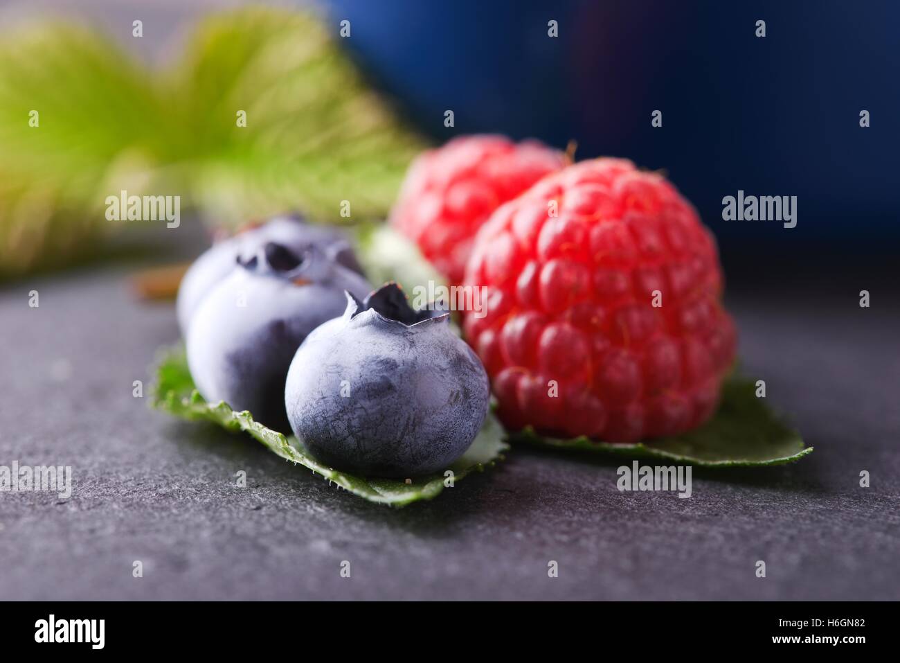 Horizontal photo with several summer berries as big blue blueberries ...
